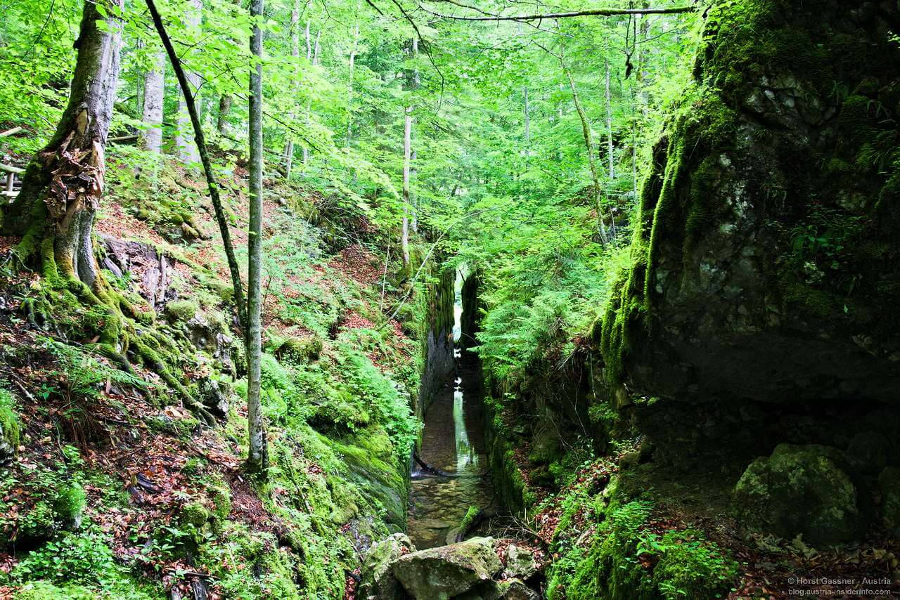 3-Seen-Tour: Grundlsee - Toplitzsee - Kammersee - Austria Insiderinfo