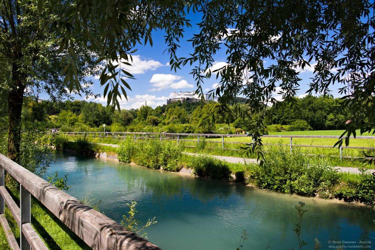 Auf dem Weg zur klimaneutralen Stadt - Austria Insiderinfo